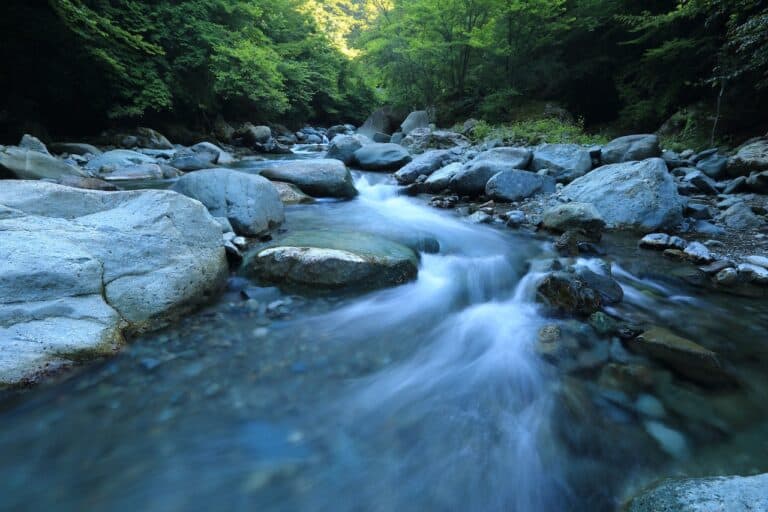 Monday Morning Motivation - Flow | F5 Financial